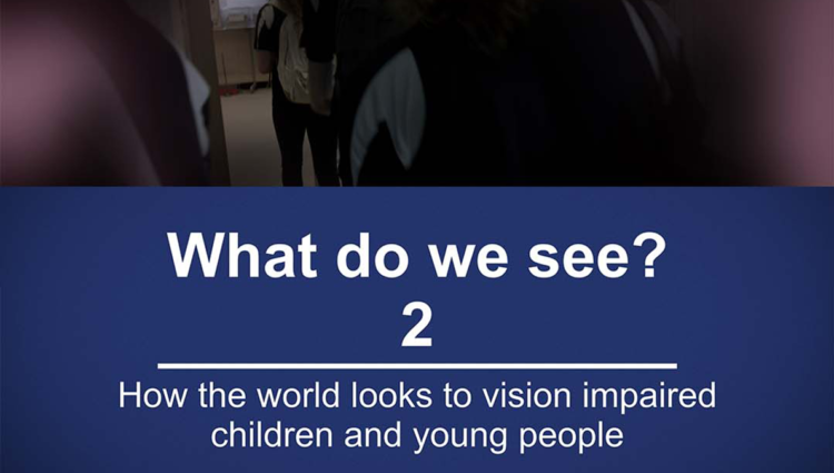 New video shows how the world looks like to vision impaired children ...